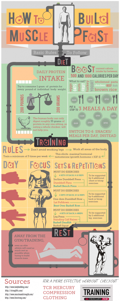 How To Build Muscle Fast [INFOGRAPHIC]