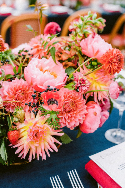 7 Hot Sexy Jacin Fitzgerald Bikini Pics