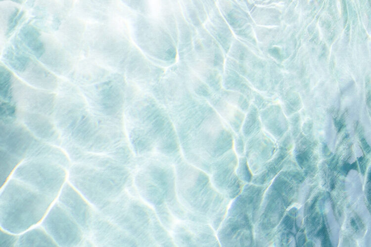 7 Hot Sexy Jacin Fitzgerald Bikini Pics