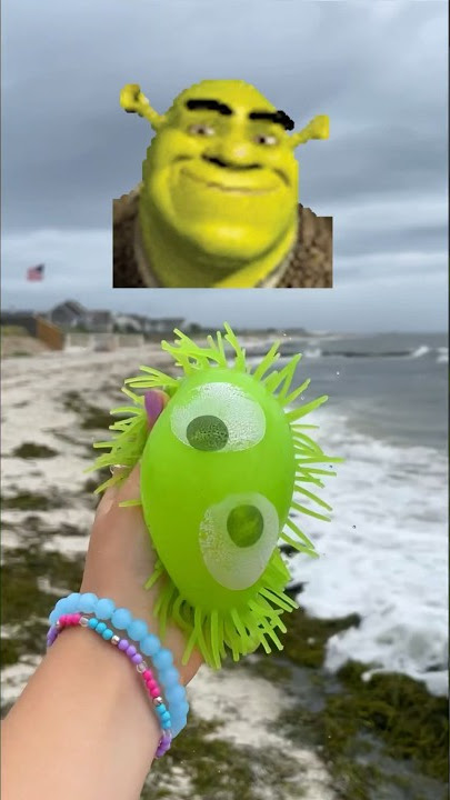 10 Hot Sexy RainbowPlayMaker Bikini Pics