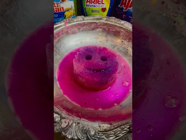 10 Hot Sexy RainbowPlayMaker Bikini Pics