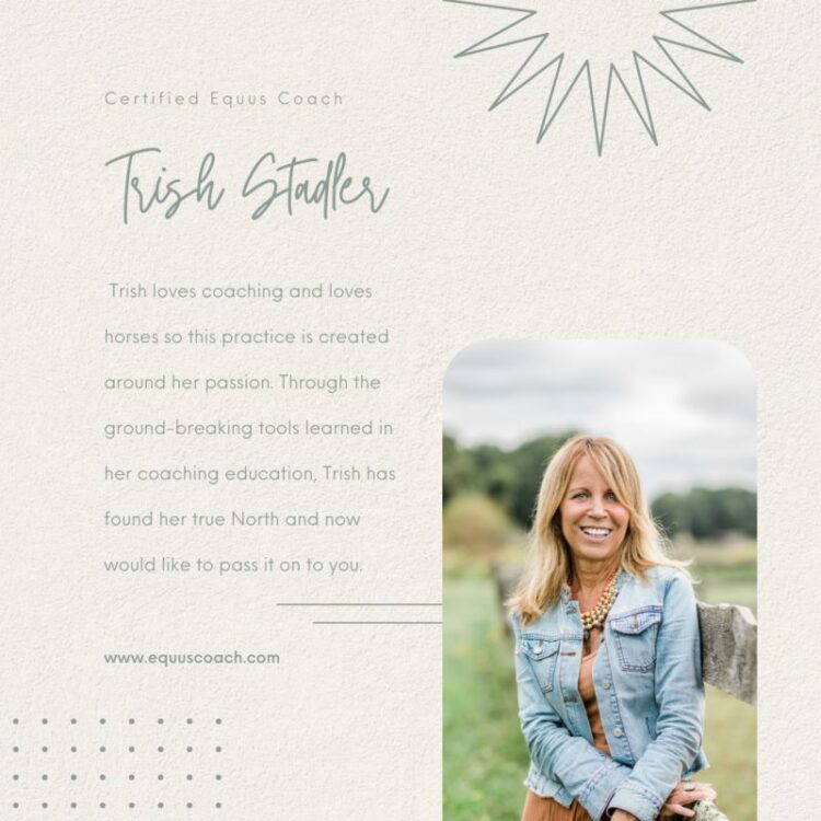 6 Hot Sexy Robin Poage Bikini Pics