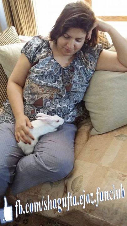 10 Hot Sexy Shagufta Ejaz Bikini Pics