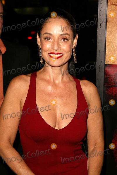 10 Hot Sexy Sonia Braga Bikini Pics