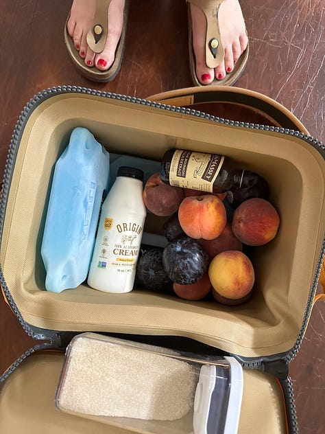 Danielle Morrill Feet