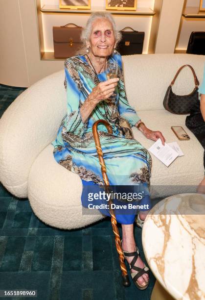 Daphne Selfe Feet