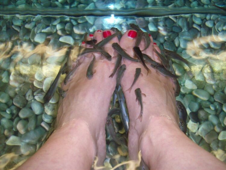Fishie Fish Feet