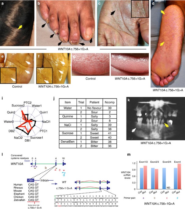 Jackson Fujimori Feet