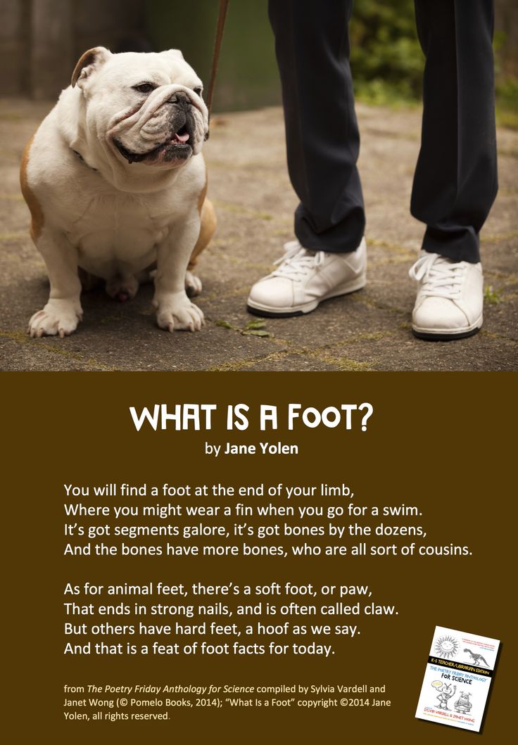 Jane Yolen Feet