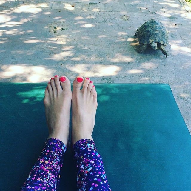 Jessica Ellerby Feet