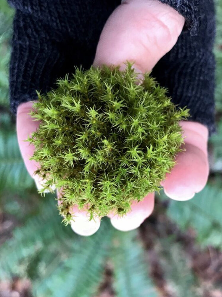 Karina SacredElements Feet