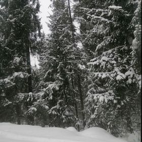 Karolina Witaszek Feet