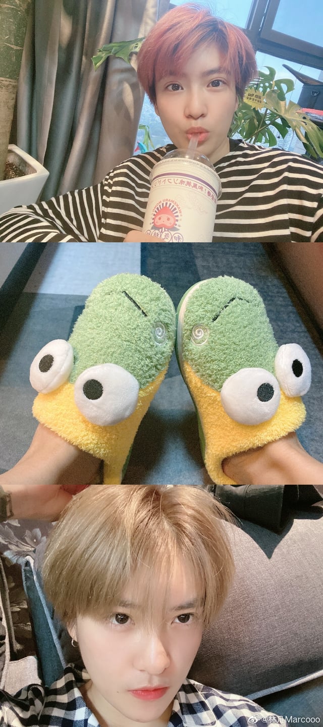 Lin Fan Feet