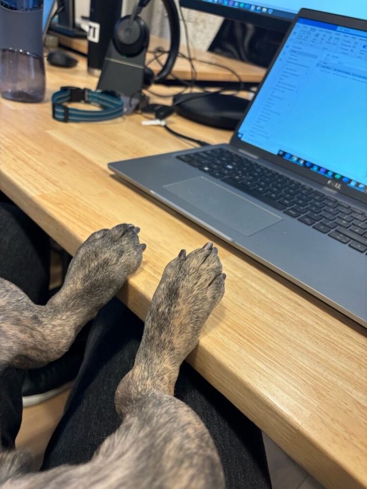 Lucy Blanc Feet