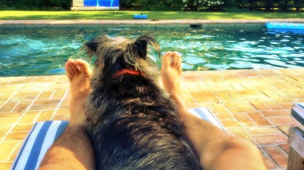 manuelamirandaa Feet