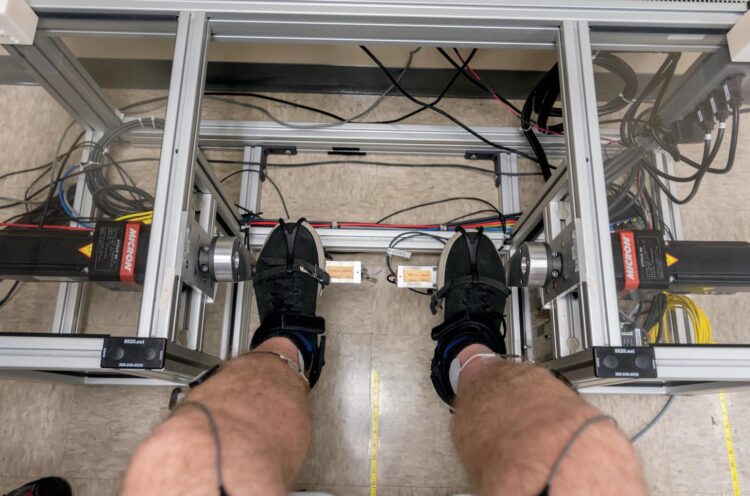 Marcella De Marchi Feet