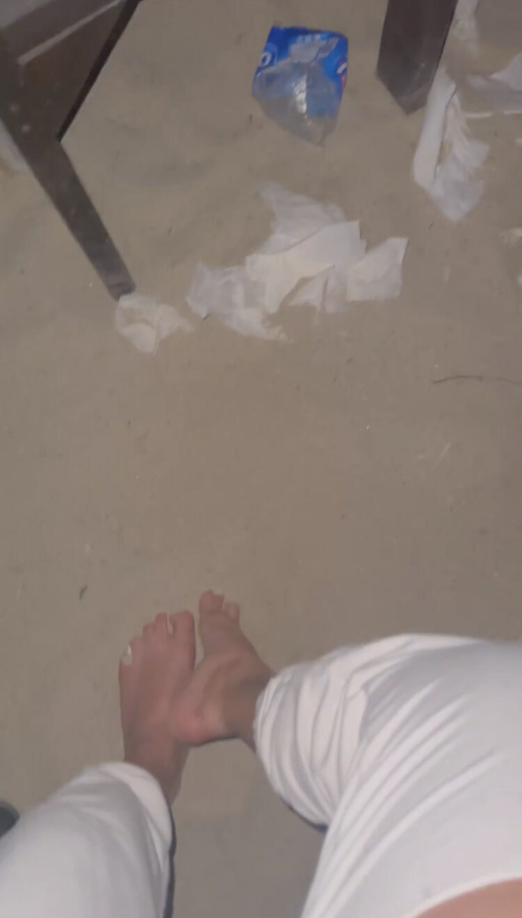 Mariam Meliqyan Feet