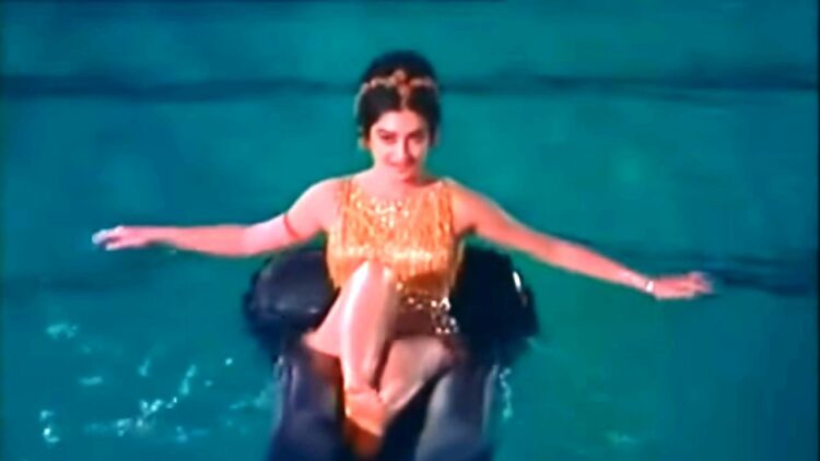 Saira Banu Feet