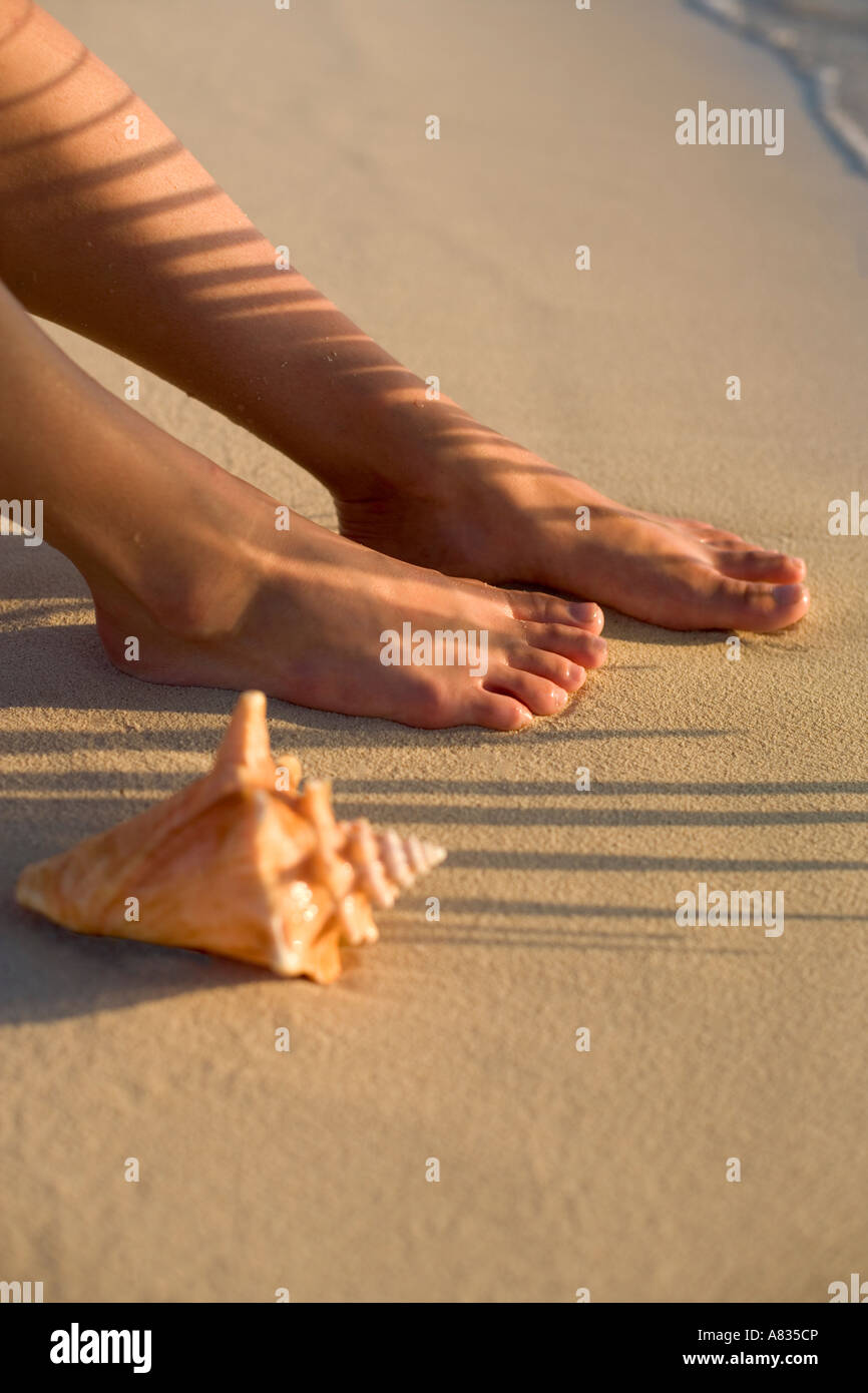 shellsea Feet