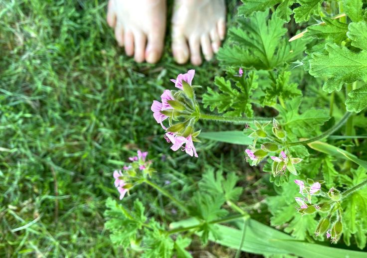Susan Wooldridge Feet